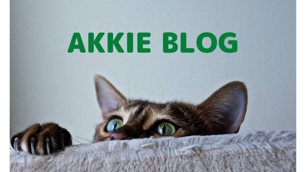 アマゾンの電子書籍読み放題サービスが便利！プライムリーディングとキンドル アンリミテッドの違いは？ | AKKIE BLOG